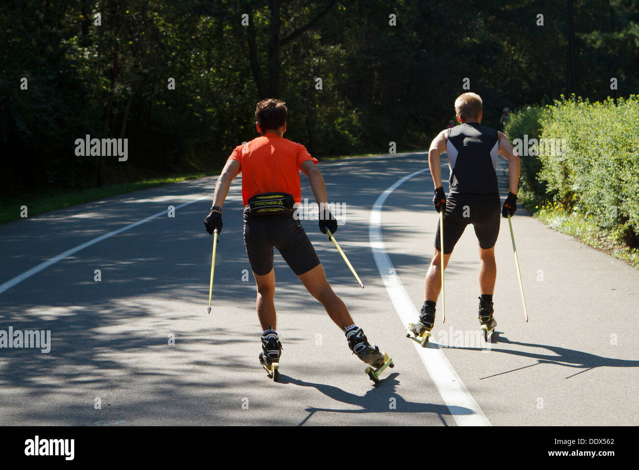 Two young man practicing roller skiing in the park (as a summer ...