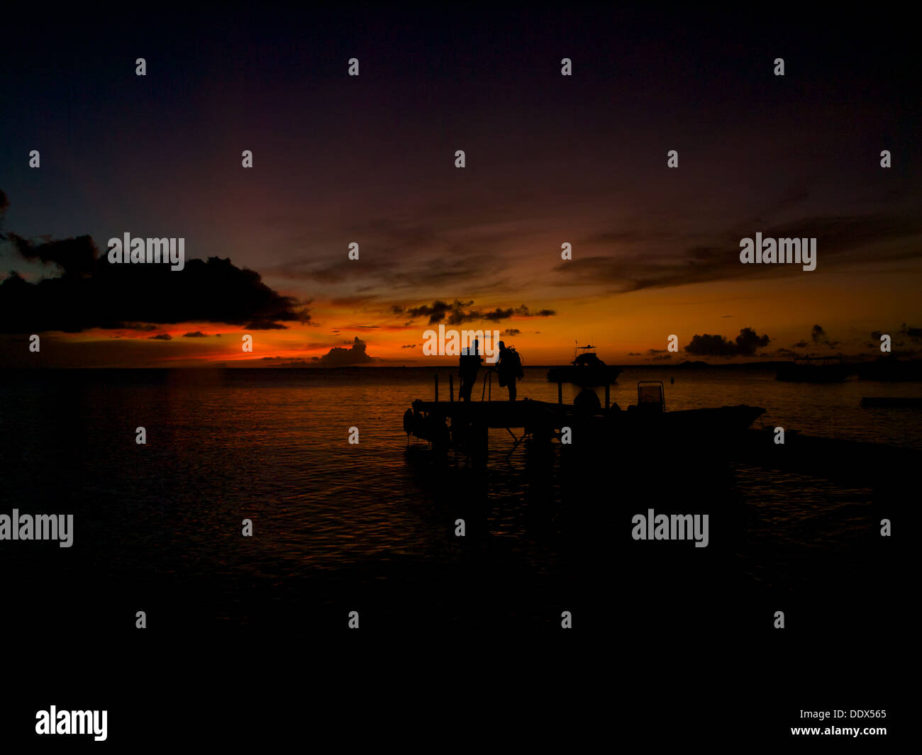 Bonaire dive hi-res stock photography and images - Alamy