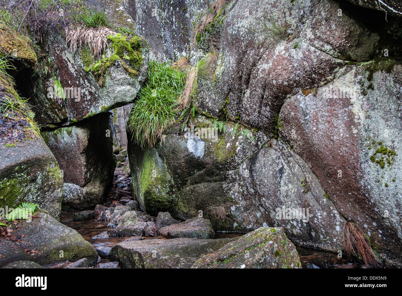 Burn O' Vat at the Muir of Dinnet in Scotland, Gorge formed in the Ice ...