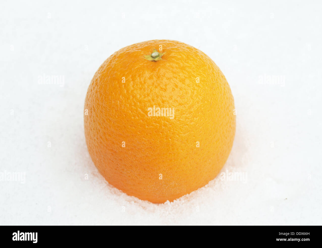 Mandarin orange snow hi-res stock photography and images - Alamy