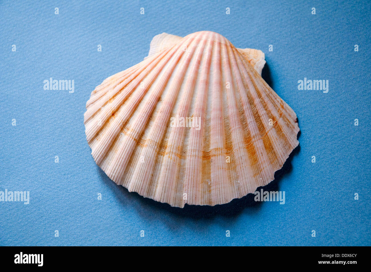 Simbolo simbolico hi-res stock photography and images - Alamy