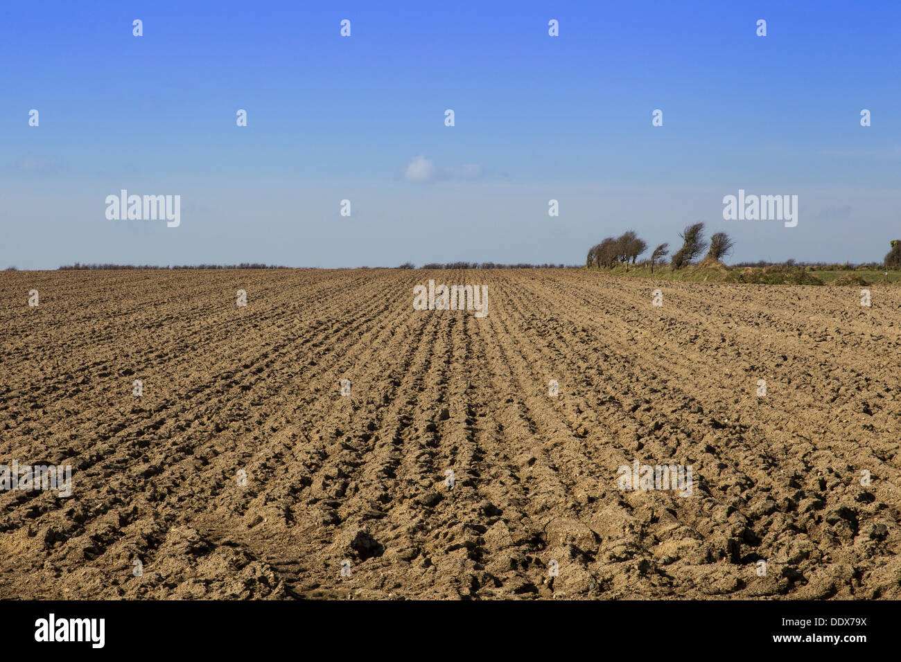 Tilled Soil High Resolution Stock Photography and Images - Alamy