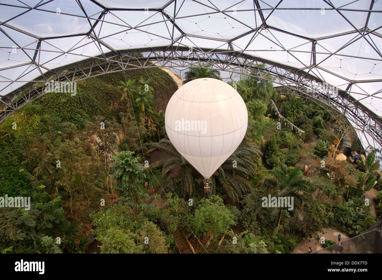 Eden Project,Cornwall,UK,a series of artificial biodomes with ...
