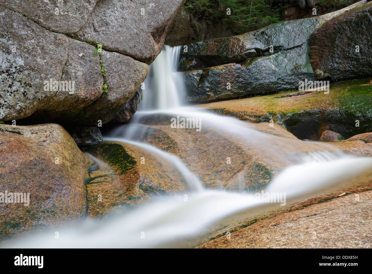 Cascade Brook during the summer months. This brook is located along the ...