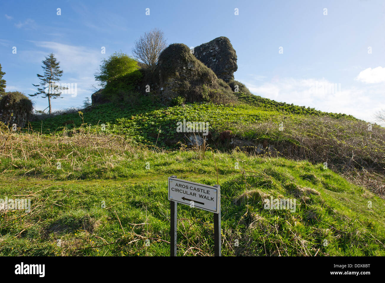 Aros Castle on the Isle of Mull Stock Photo - Alamy