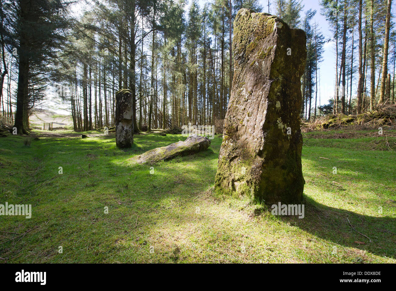 Kilmore Standing Stones Stock Photo - Alamy