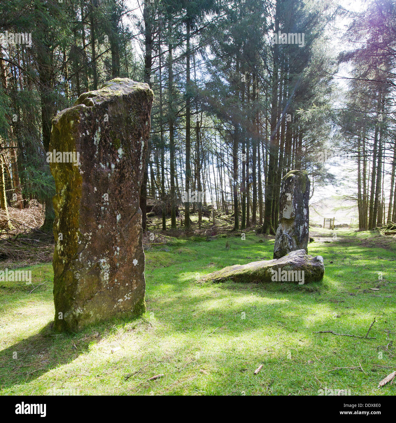 Kilmore Standing Stones Stock Photo - Alamy