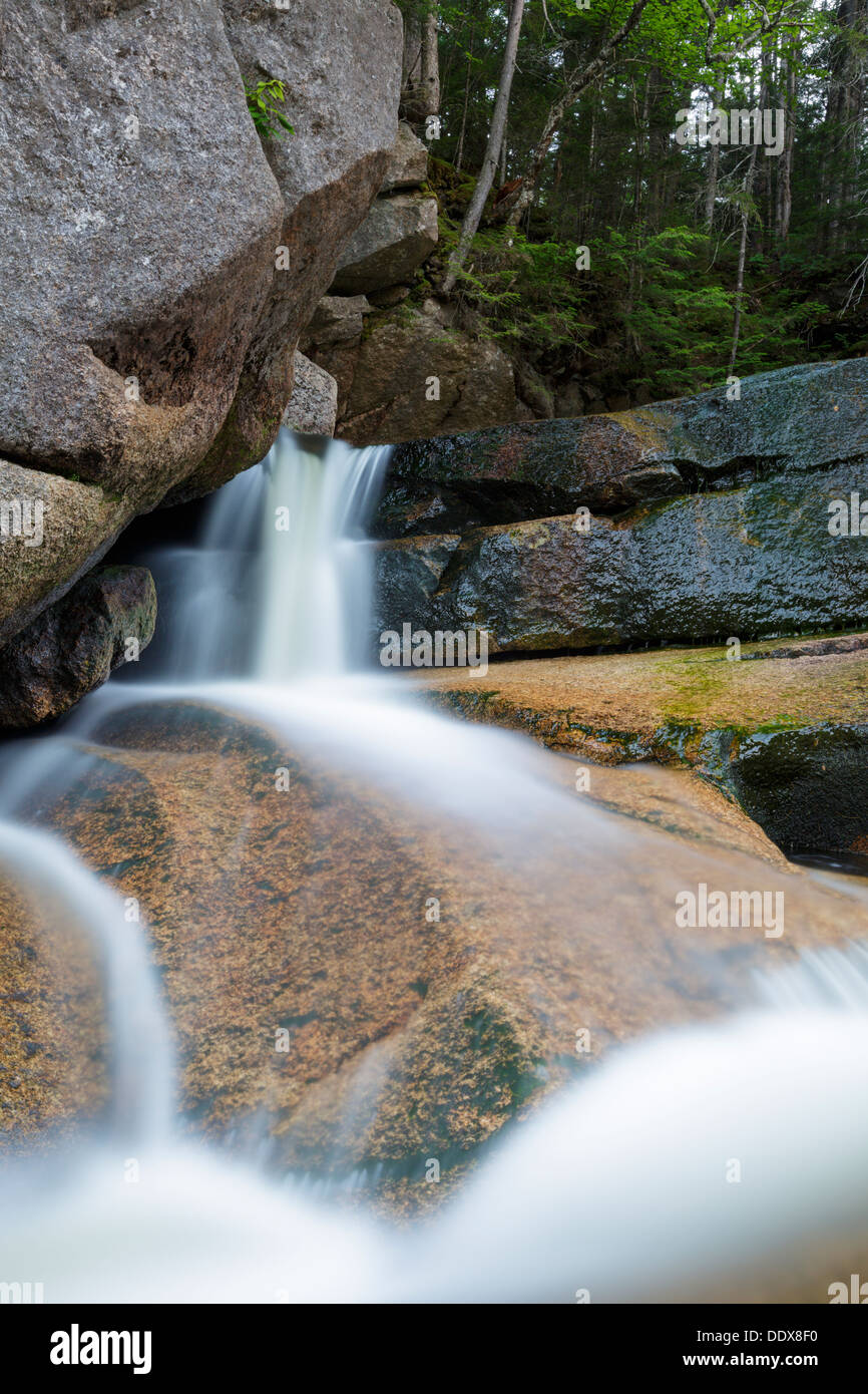 Cascade Brook during the summer months. This brook is located along the ...