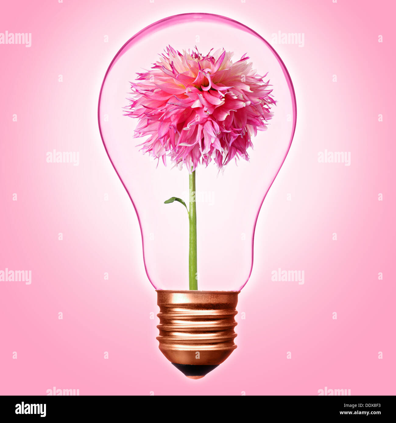 Safety light bulb hi-res stock photography and images - Alamy