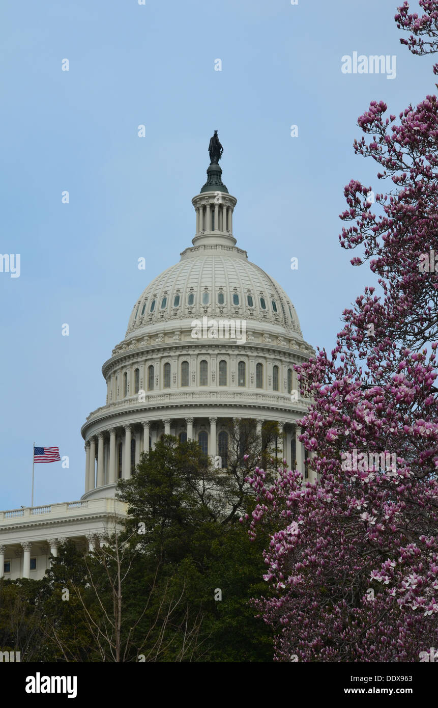 Capitol building dc balcony hi-res stock photography and images - Alamy