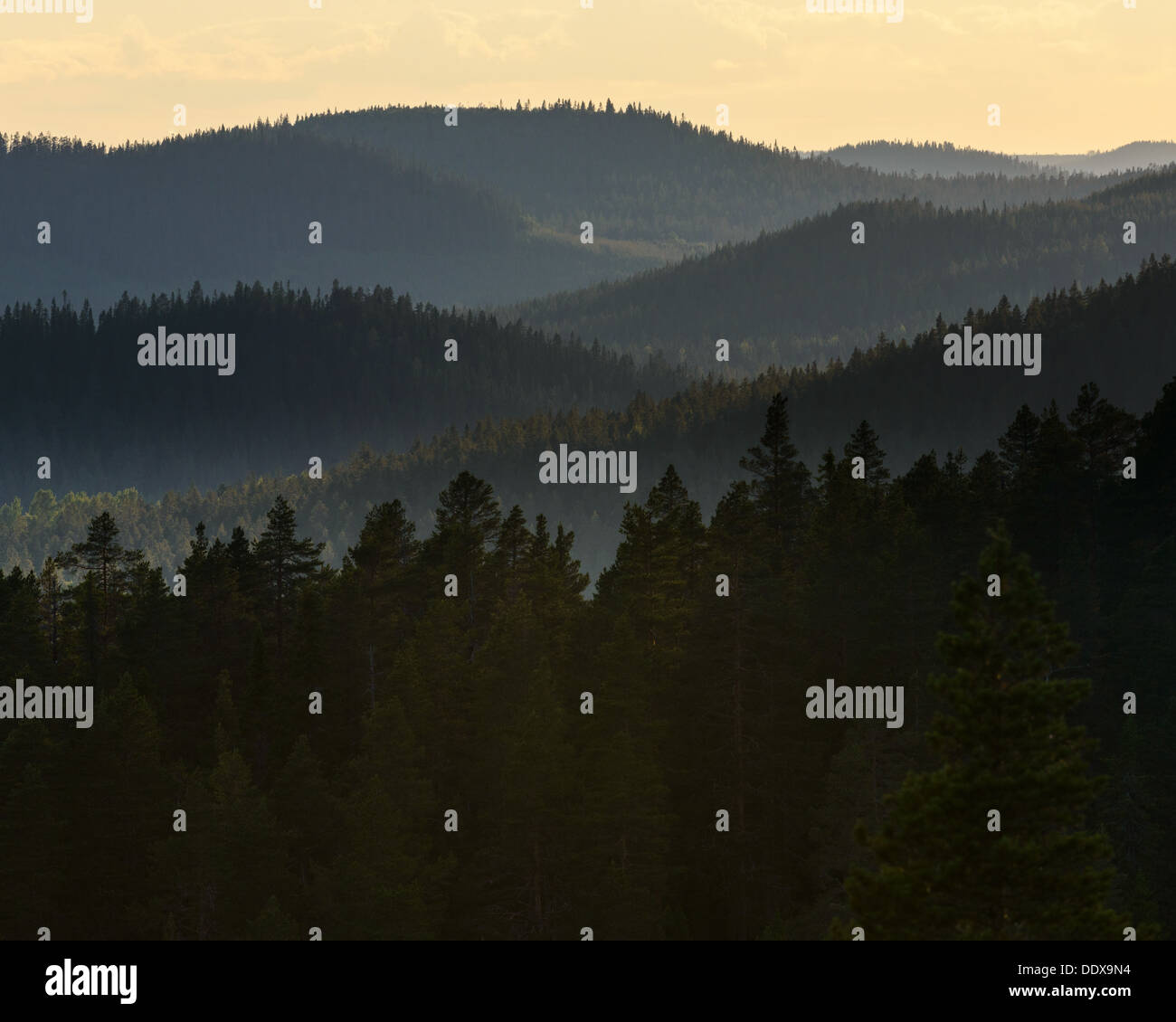 Sweden forest mountain hi-res stock photography and images - Alamy
