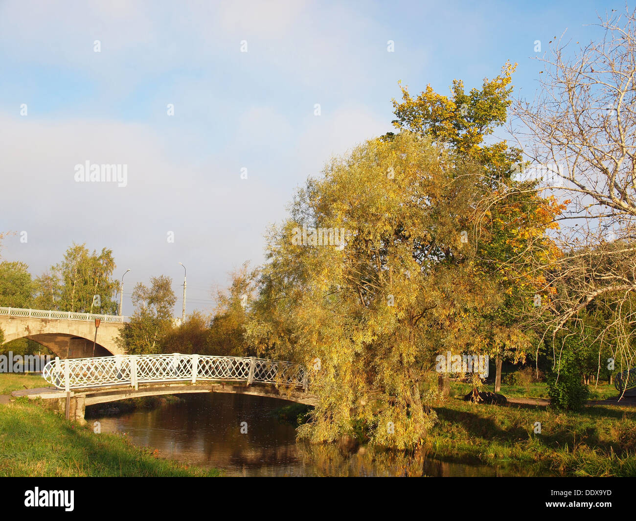 Park in the fall Stock Photo - Alamy