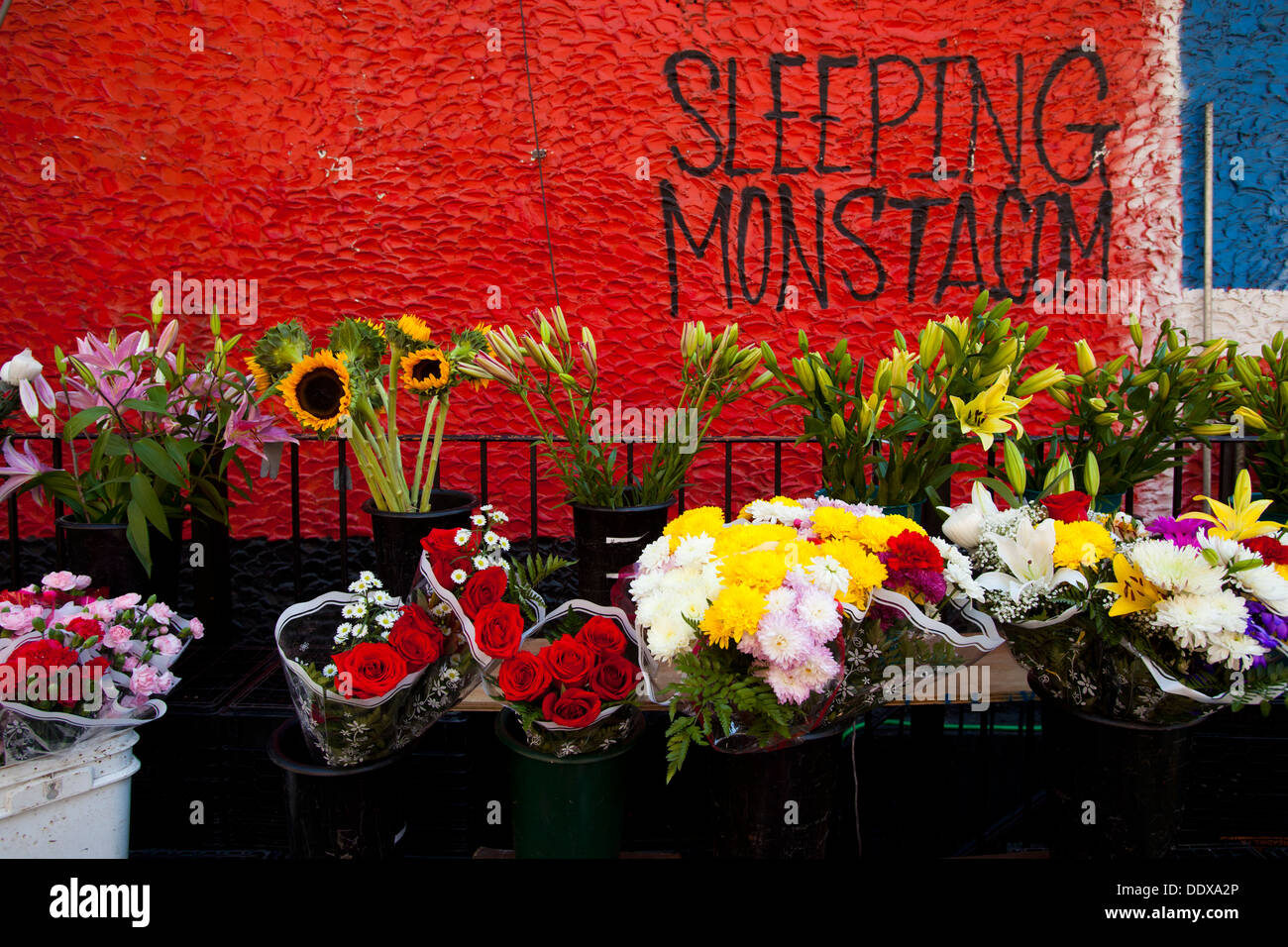 Flower shop, downtown Manhattan near Delancy and Essex, New York ...