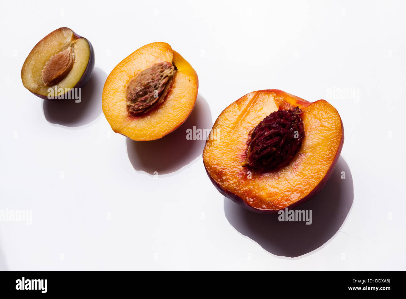 Nectarine, peach and plum on white background Stock Photo - Alamy