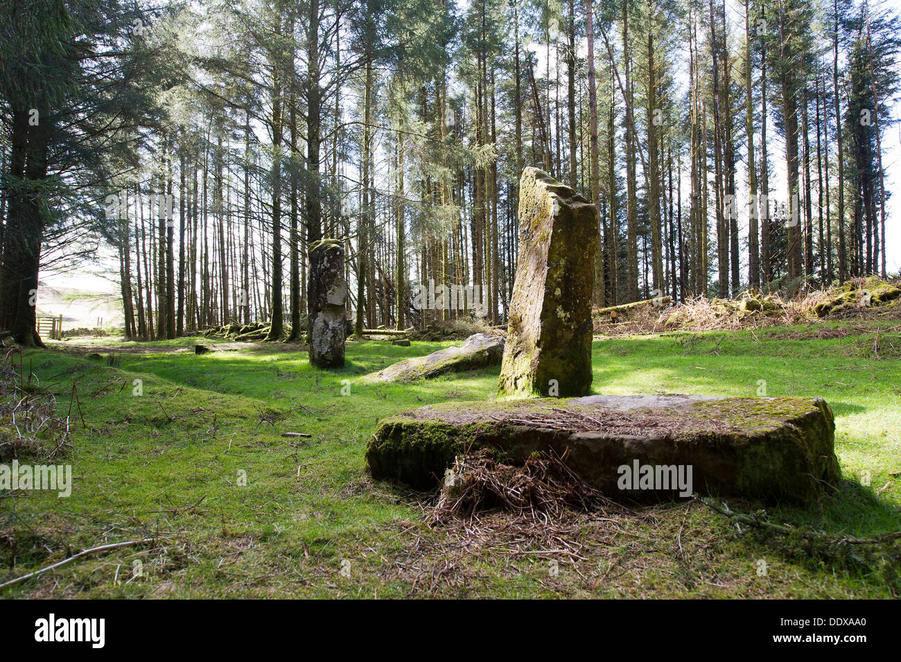 Kilmore Standing Stones Stock Photo - Alamy