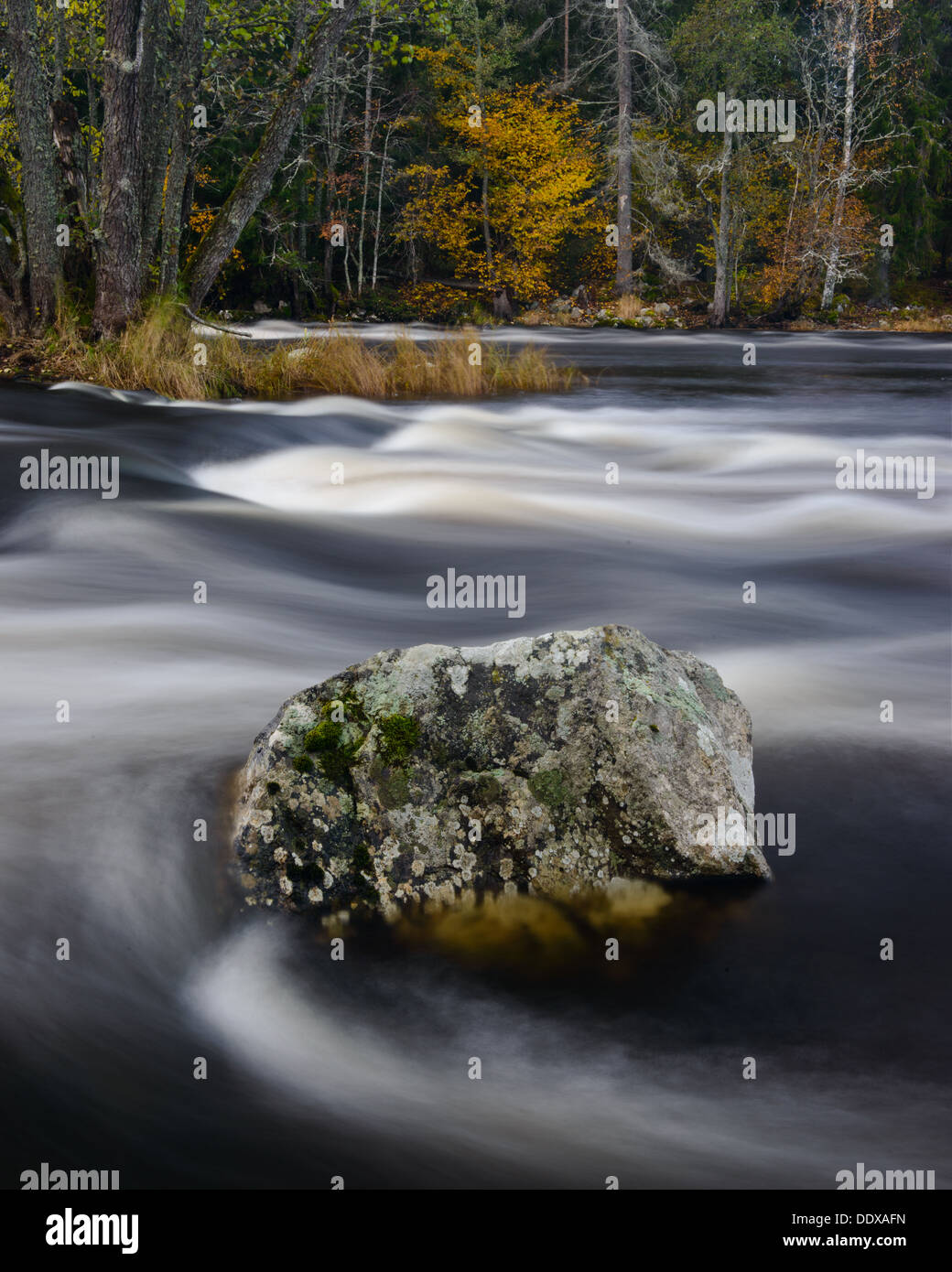 Rock in sweden hi-res stock photography and images - Alamy