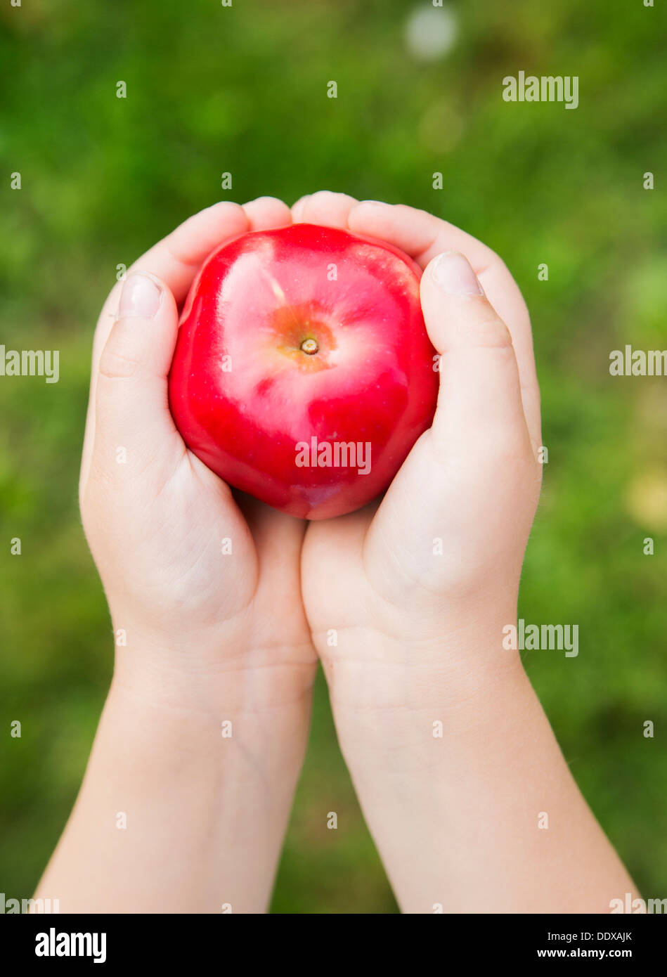 Hand holded hi-res stock photography and images - Alamy