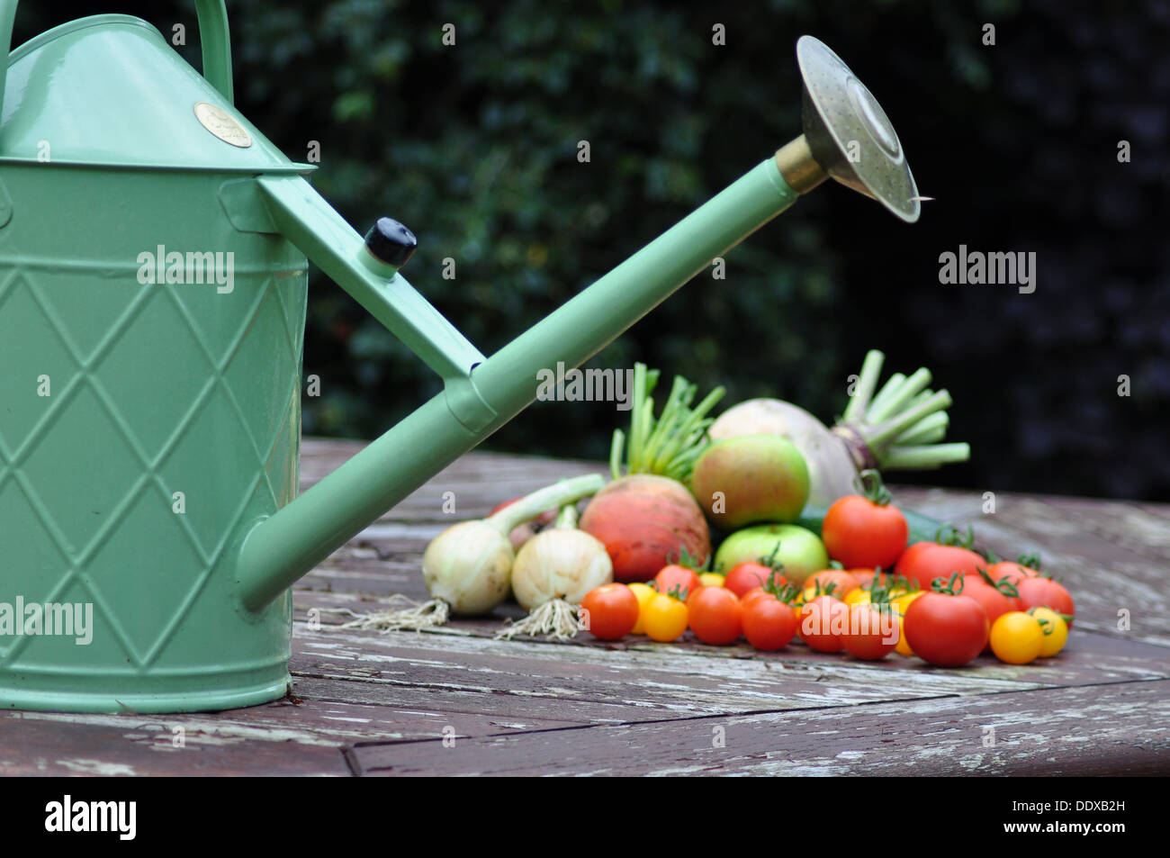 Country vegetable garden hi-res stock photography and images - Alamy