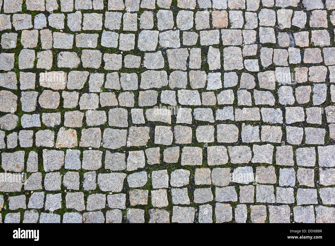 square granite stones on the pavement Stock Photo - Alamy
