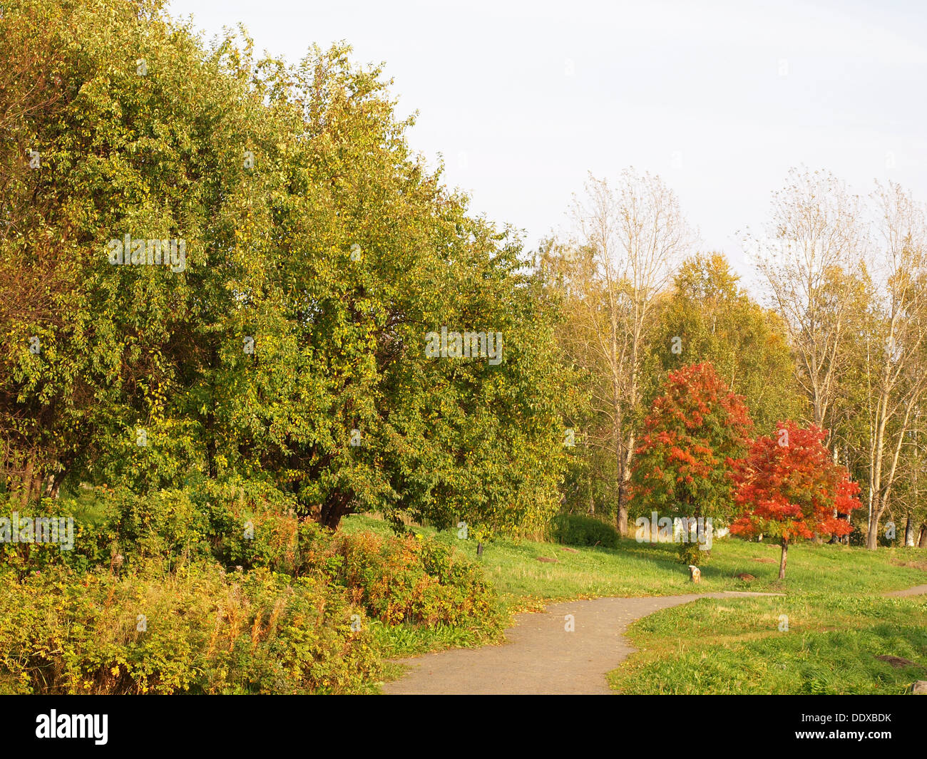 Park in the fall Stock Photo - Alamy