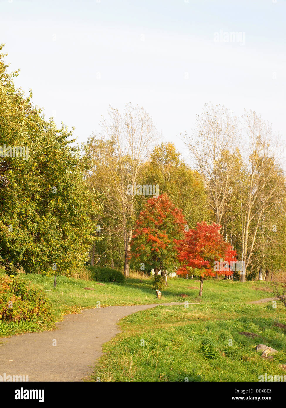 Park in the fall Stock Photo - Alamy