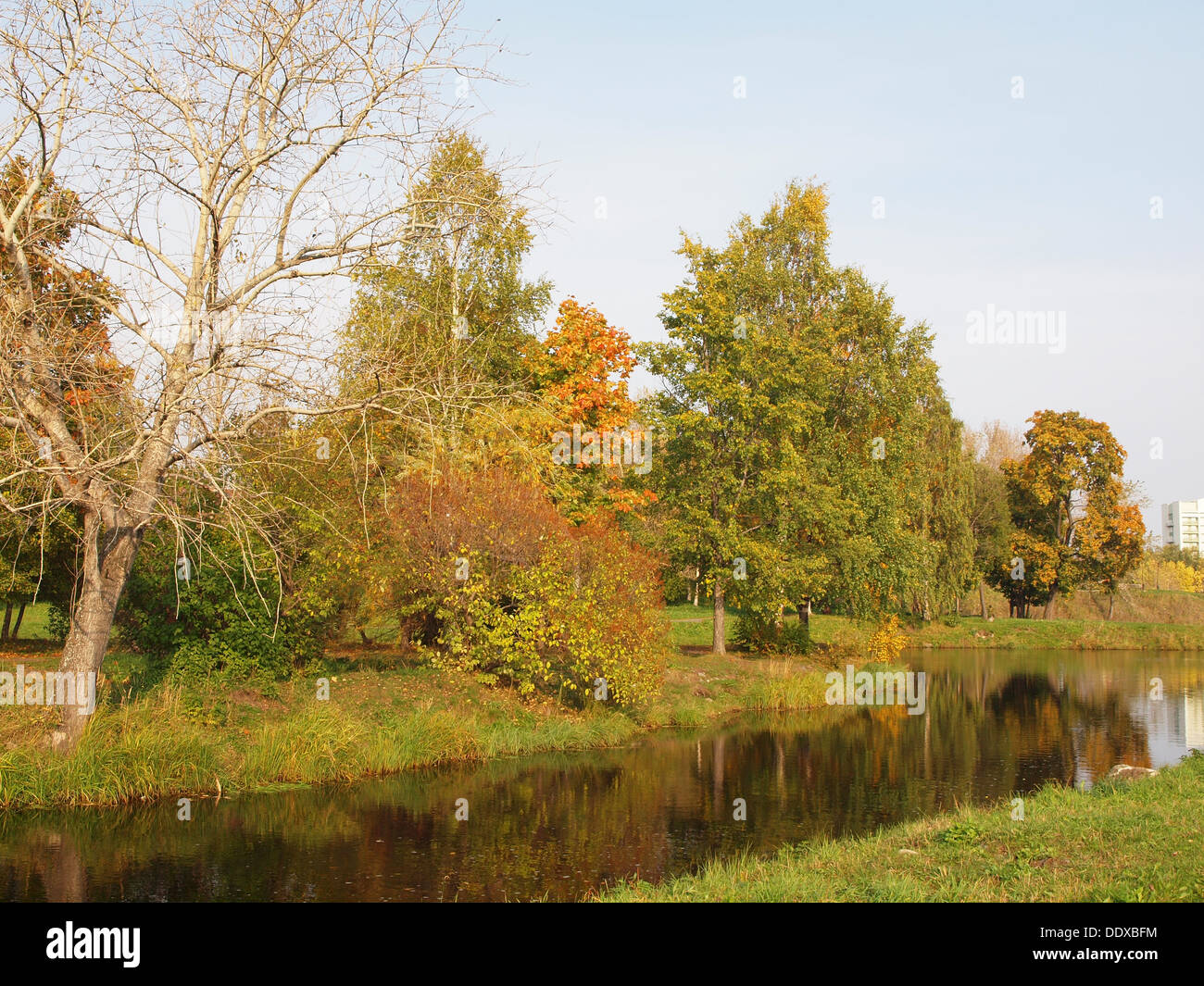 Park in the fall Stock Photo - Alamy