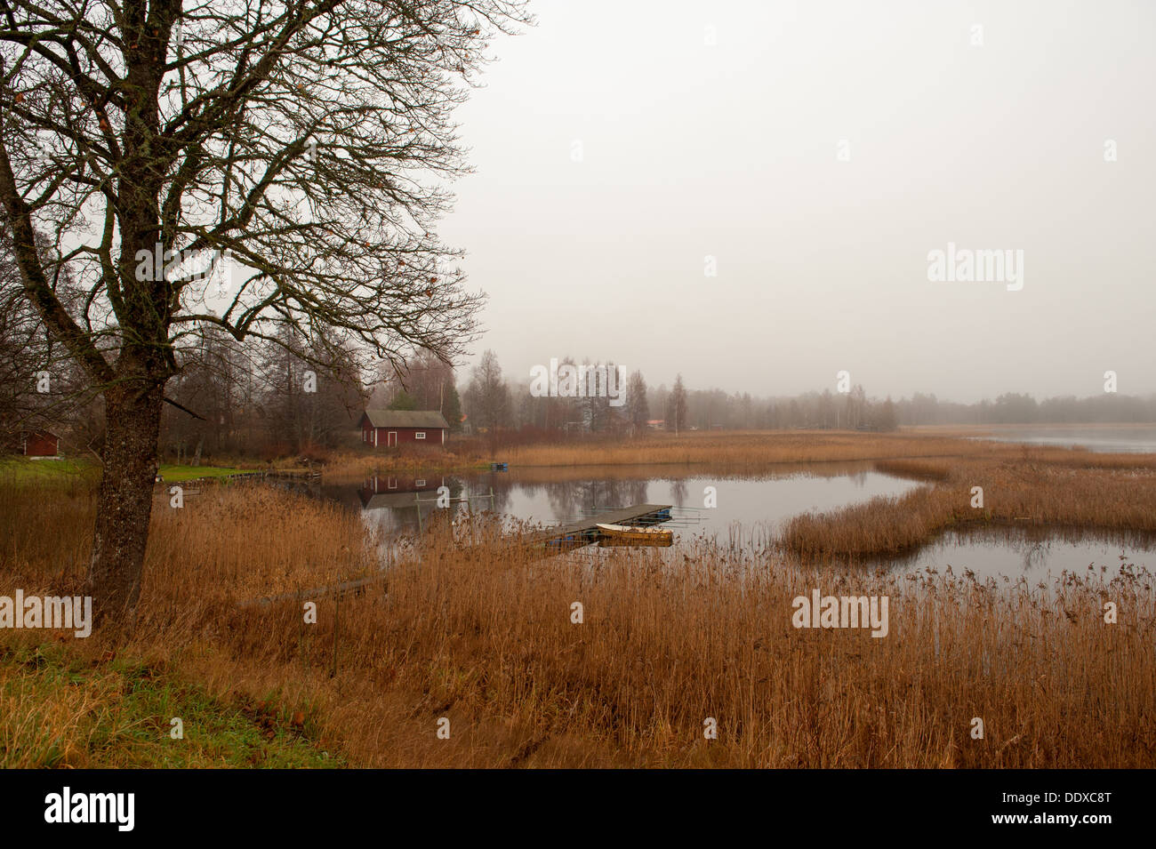 Early November morning in Sweden Stock Photo - Alamy