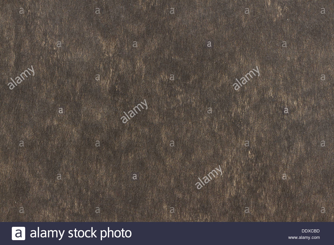Translucent Fabric Stock Photos & Translucent Fabric Stock Images - Alamy