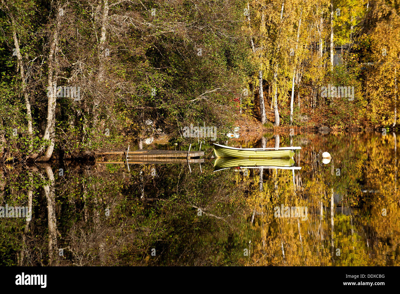 Glorious autumn morning in county Östergötland, Sweden Stock Photo - Alamy