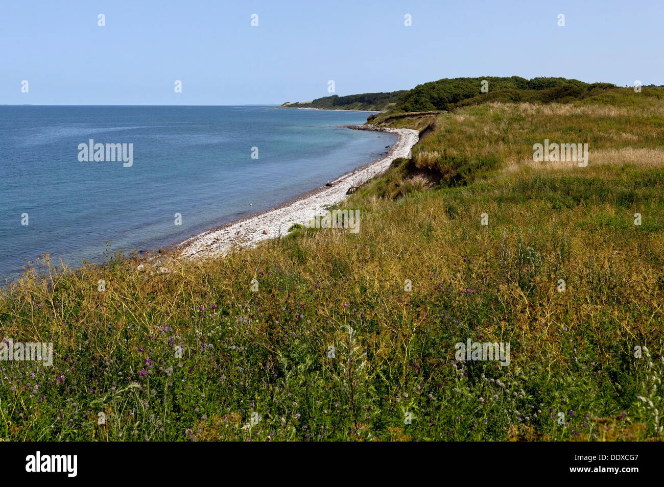 Stretch of coast at Roesnaes near Kalundborg, Zealand, Denmark Stock ...
