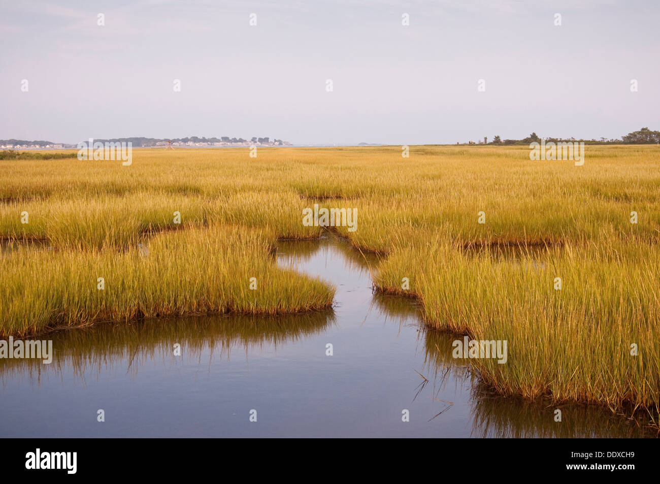 State wildlife sanctuary hi-res stock photography and images - Alamy