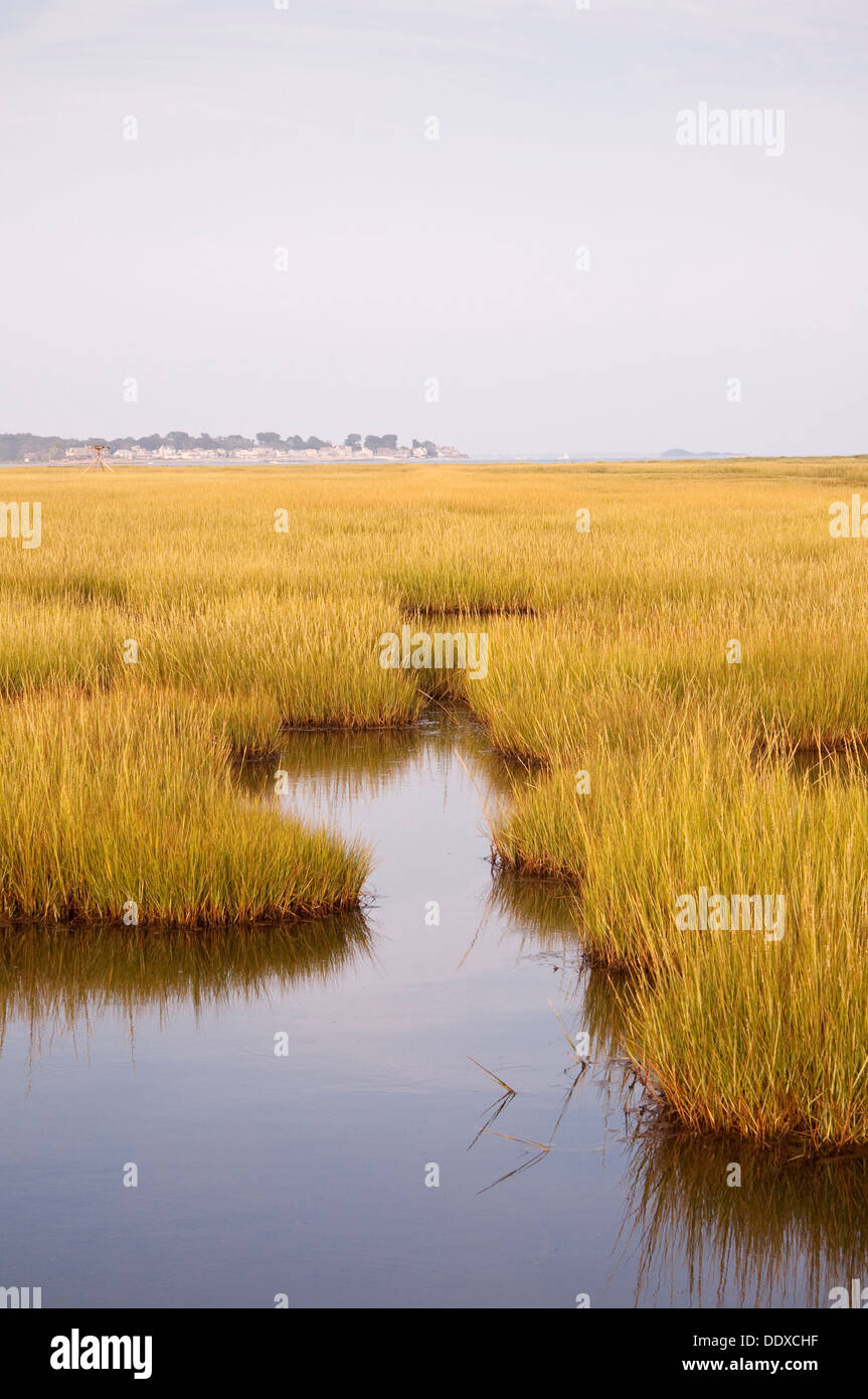 A salt marsh nature preserve at Hammonasset Beach State Park, a haven ...