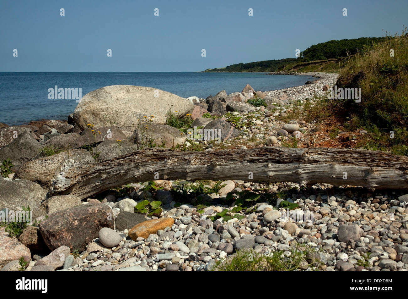 Stretch of coast at Roesnaes near Kalundborg, Zealand, Denmark Stock ...
