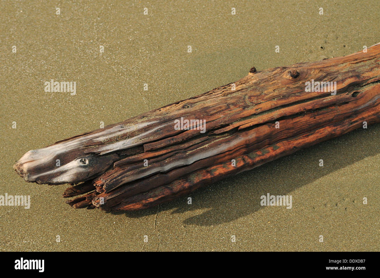 Washed up wood hi-res stock photography and images - Alamy