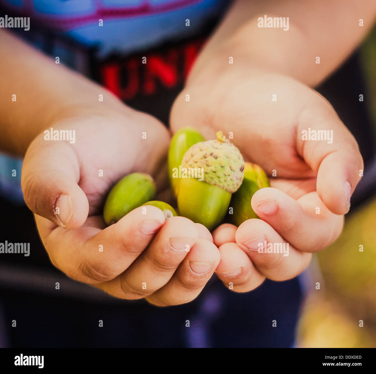Child hold hands hi-res stock photography and images - Alamy