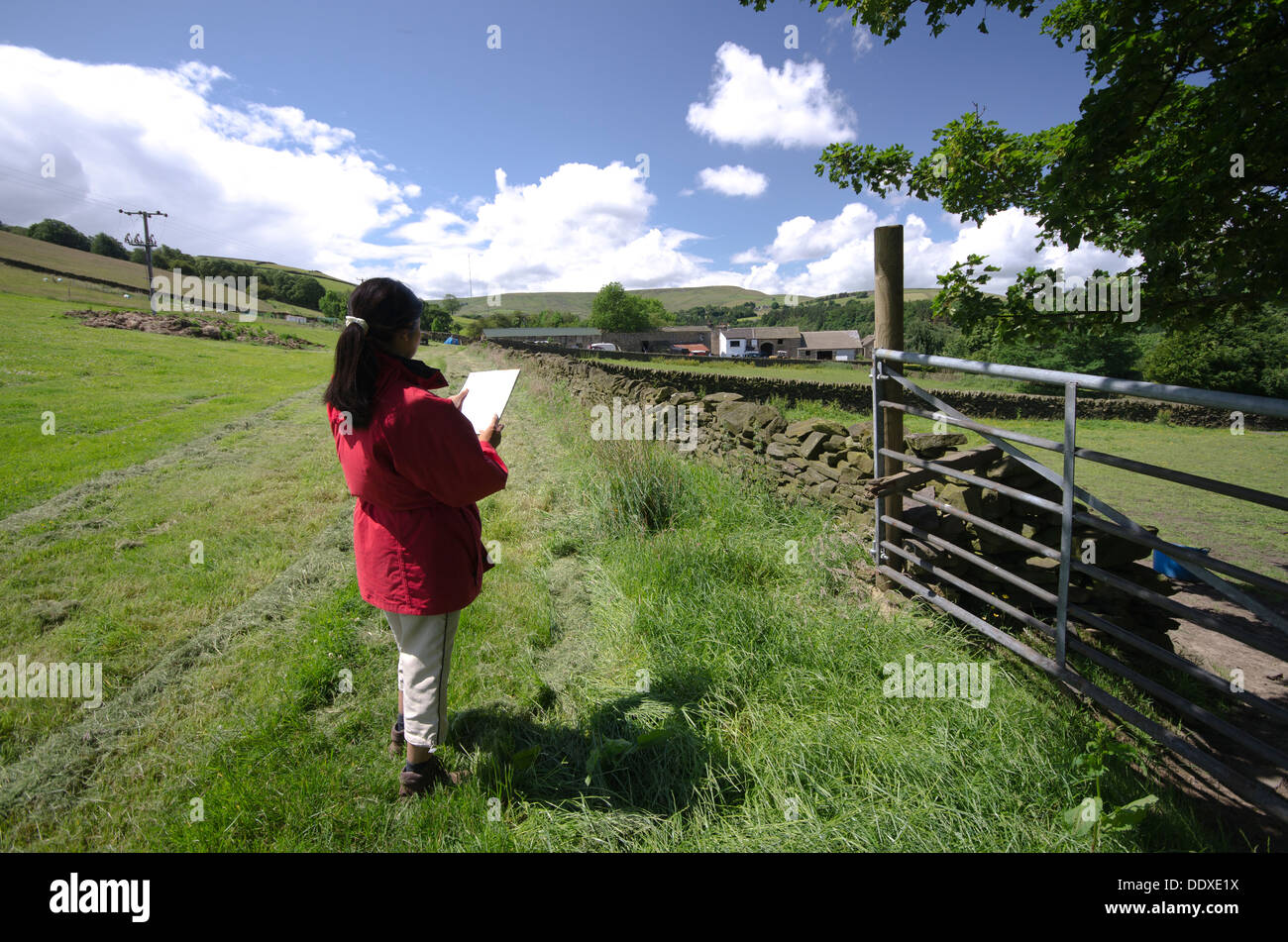 Woman checking map during walk in the countryside Stock Photo - Alamy