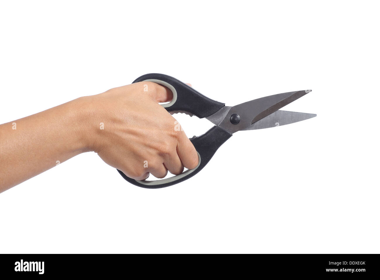 Woman hand holding a kitchen scissors isolated on a white background ...