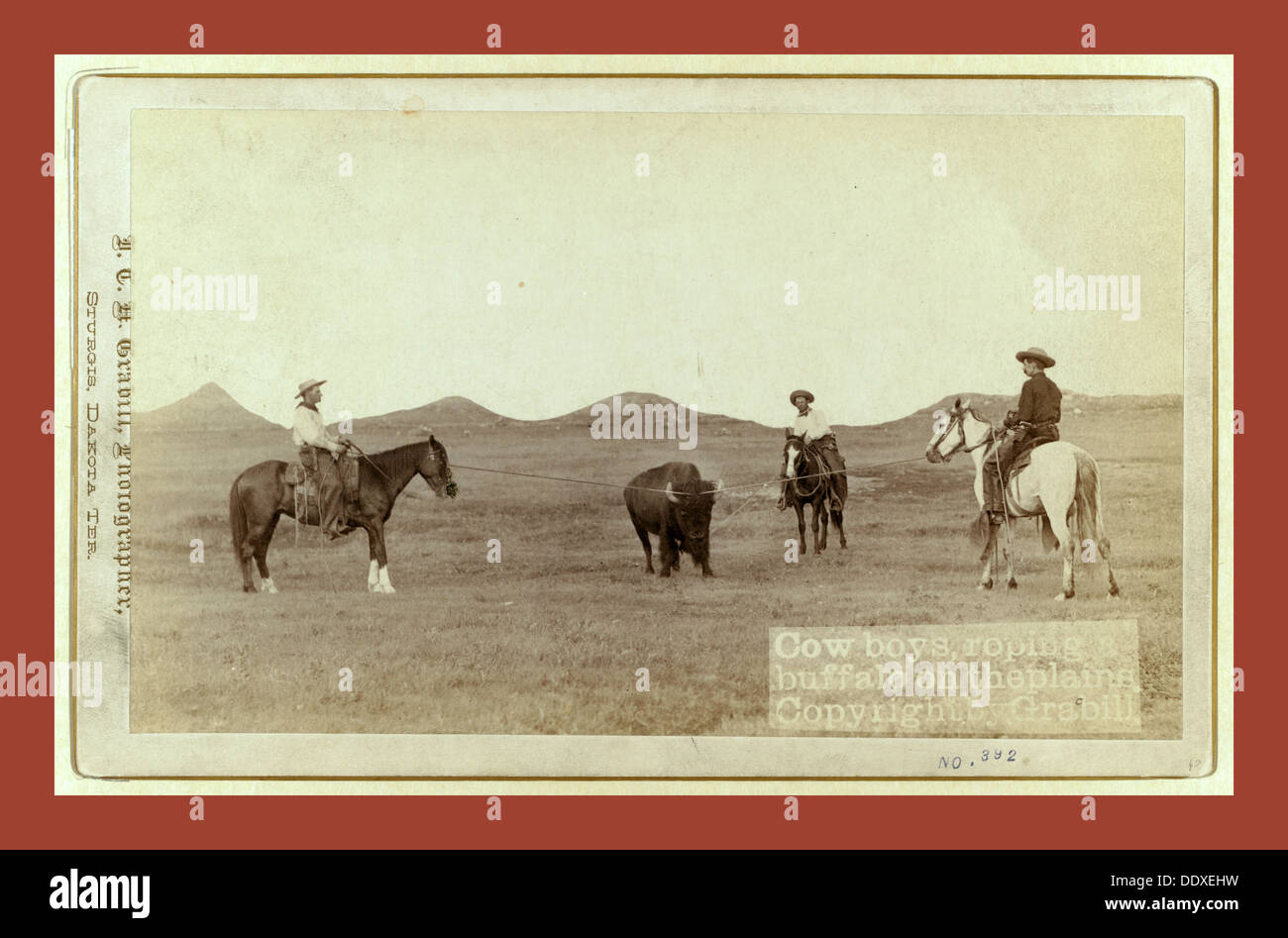 Cowboys roping hi-res stock photography and images - Alamy