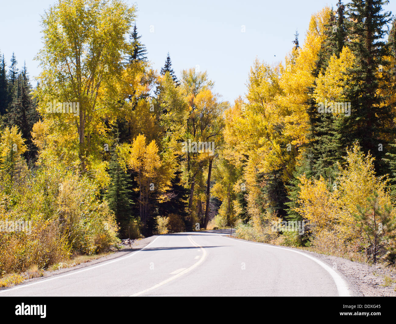 Brilliant fall colors adorn a country road in Colorado Stock Photo - Alamy