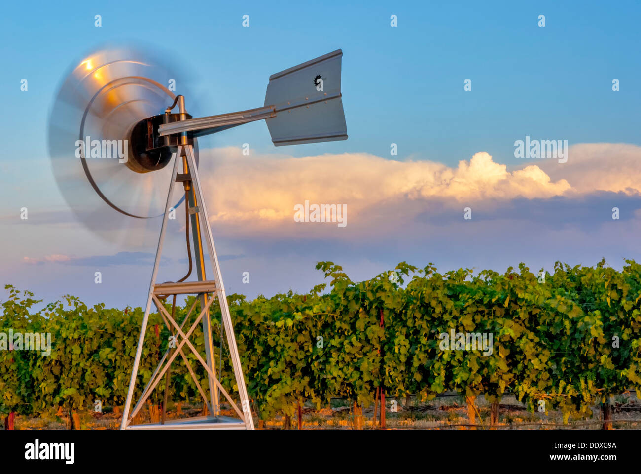 Windmill row hi-res stock photography and images - Alamy