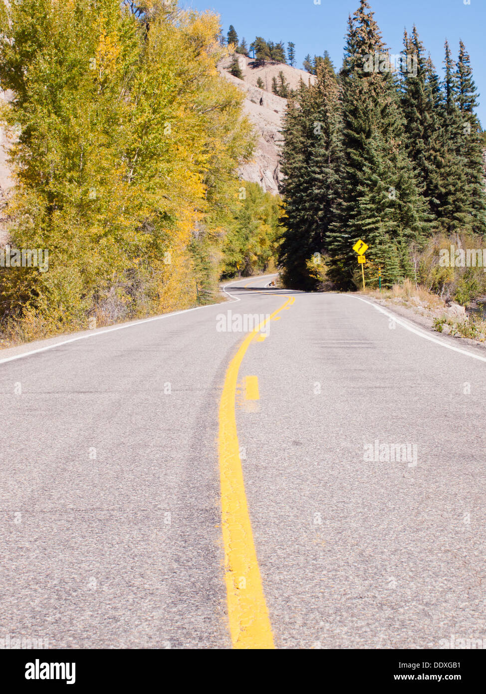 Brilliant fall colors adorn a country road in Colorado Stock Photo - Alamy