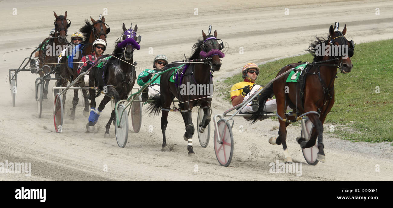 Horse Harness Racing. Canfield Fair. Mahoning County Fair. Canfield ...