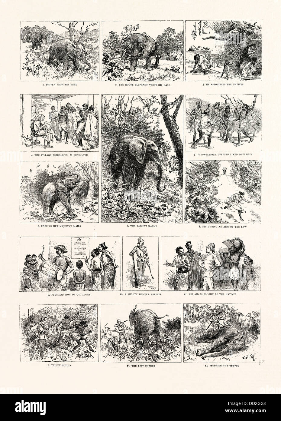 THE FROLICS OF A CEYLON "ROGUE" ELEPHANT AND THEIR CONSEQUENCES Stock ...