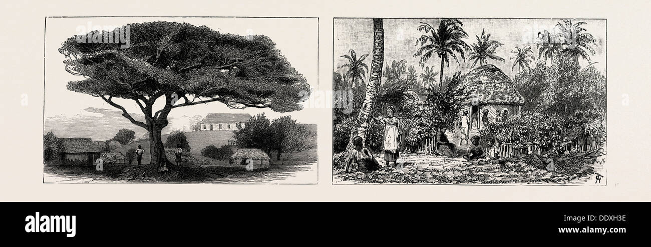 Tongan history hi-res stock photography and images - Alamy