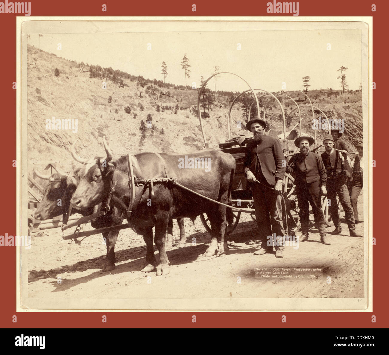 Gold fever hi-res stock photography and images - Alamy