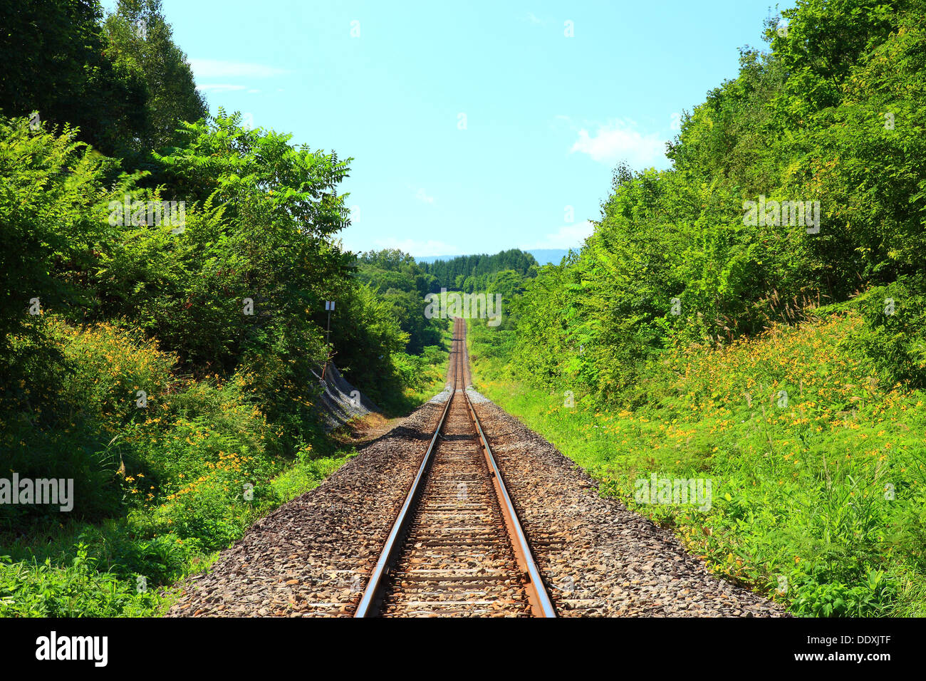 Japan railway forest hi-res stock photography and images - Alamy