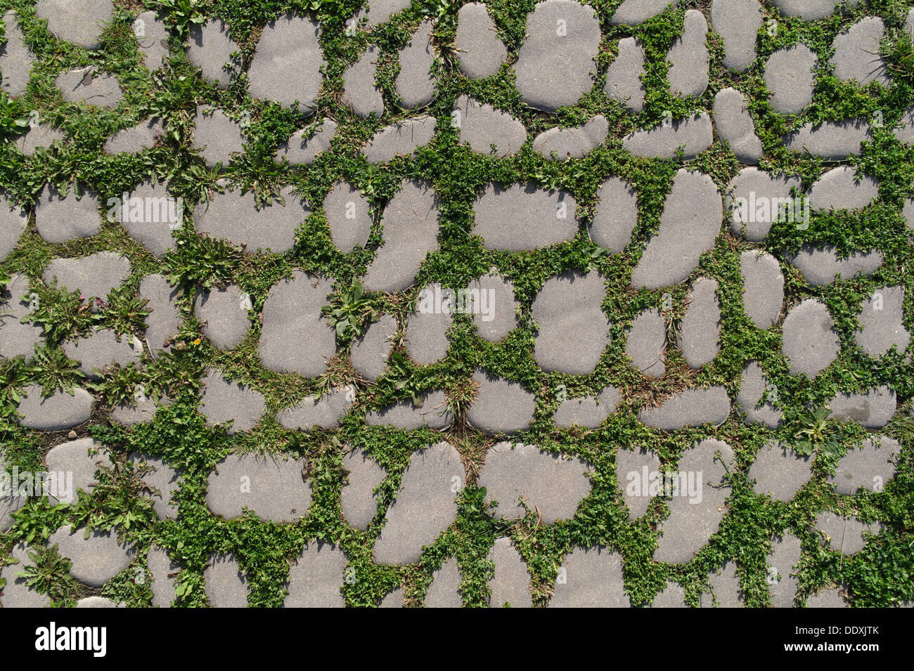 Cobblestone with grass texture hi-res stock photography and images - Alamy