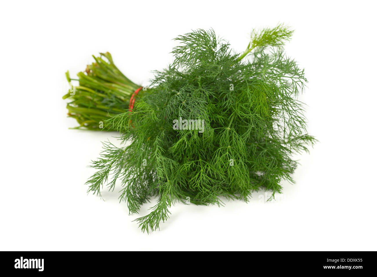 Bunch green dill herb Cut Out Stock Images & Pictures - Alamy