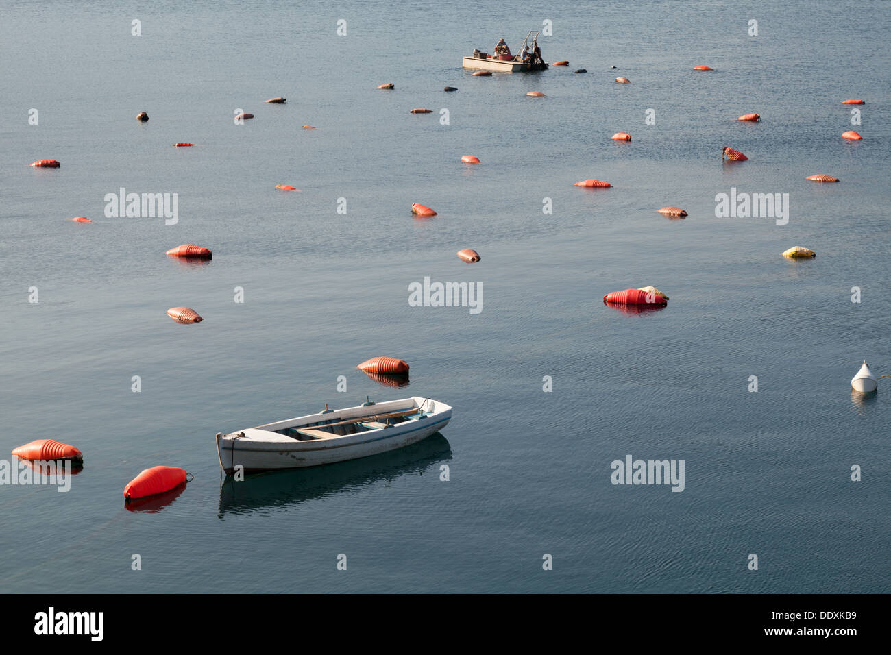 Farm for growing mussels with boats and colorful buoys, Adriatic sea ...