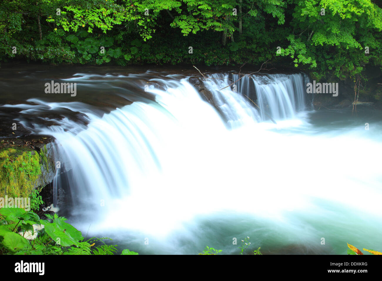 Sakura waterfall, Hokkaido Stock Photo - Alamy